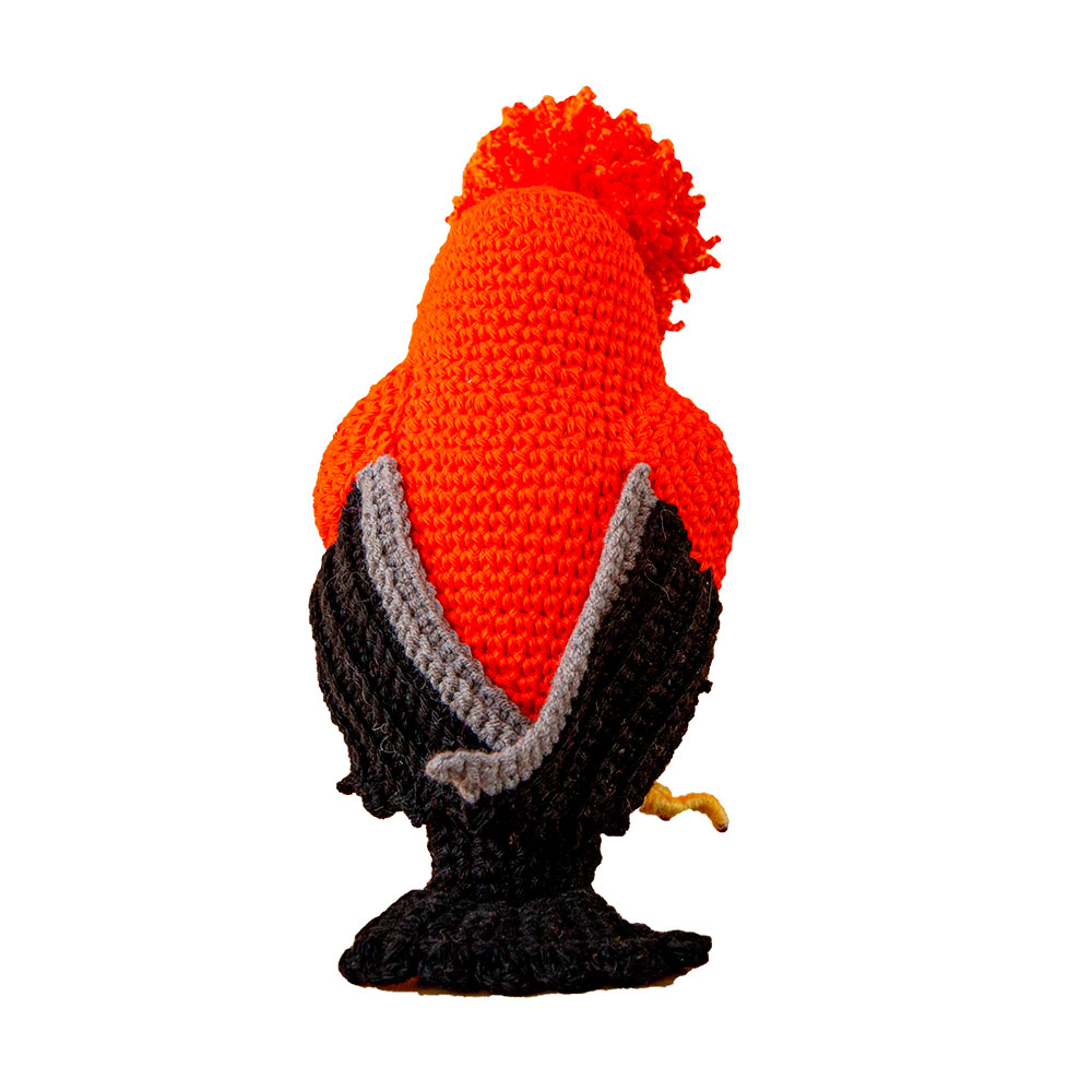 GALLITO DE LAS ROCAS | AYACUCHO EMPRENDE